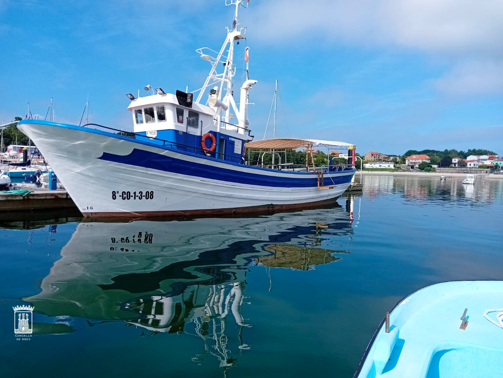 Los delfines protagonizan los viajes en barco del M. Presas ...